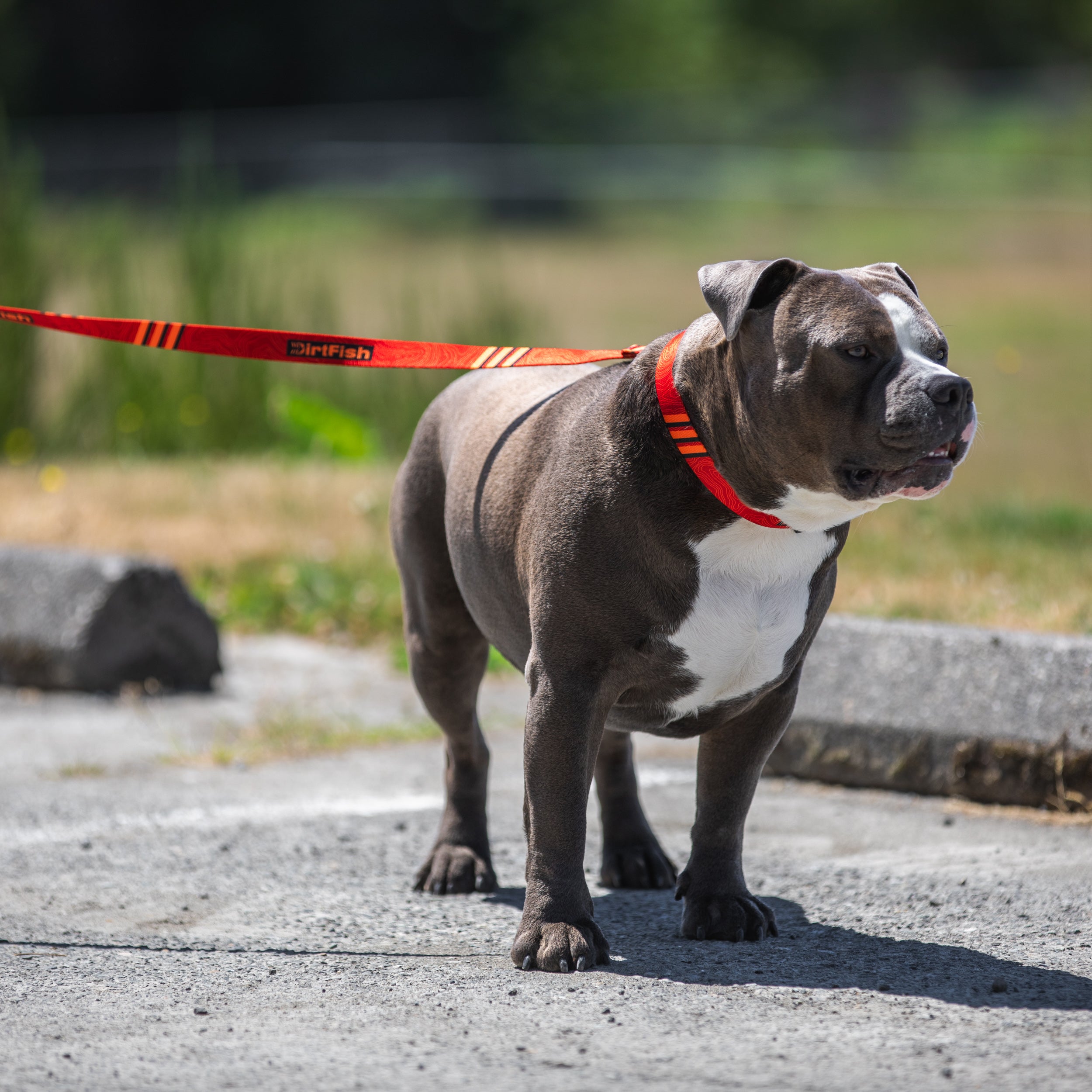 DirtFish Gear | Performance Driving Apparel & Accessories